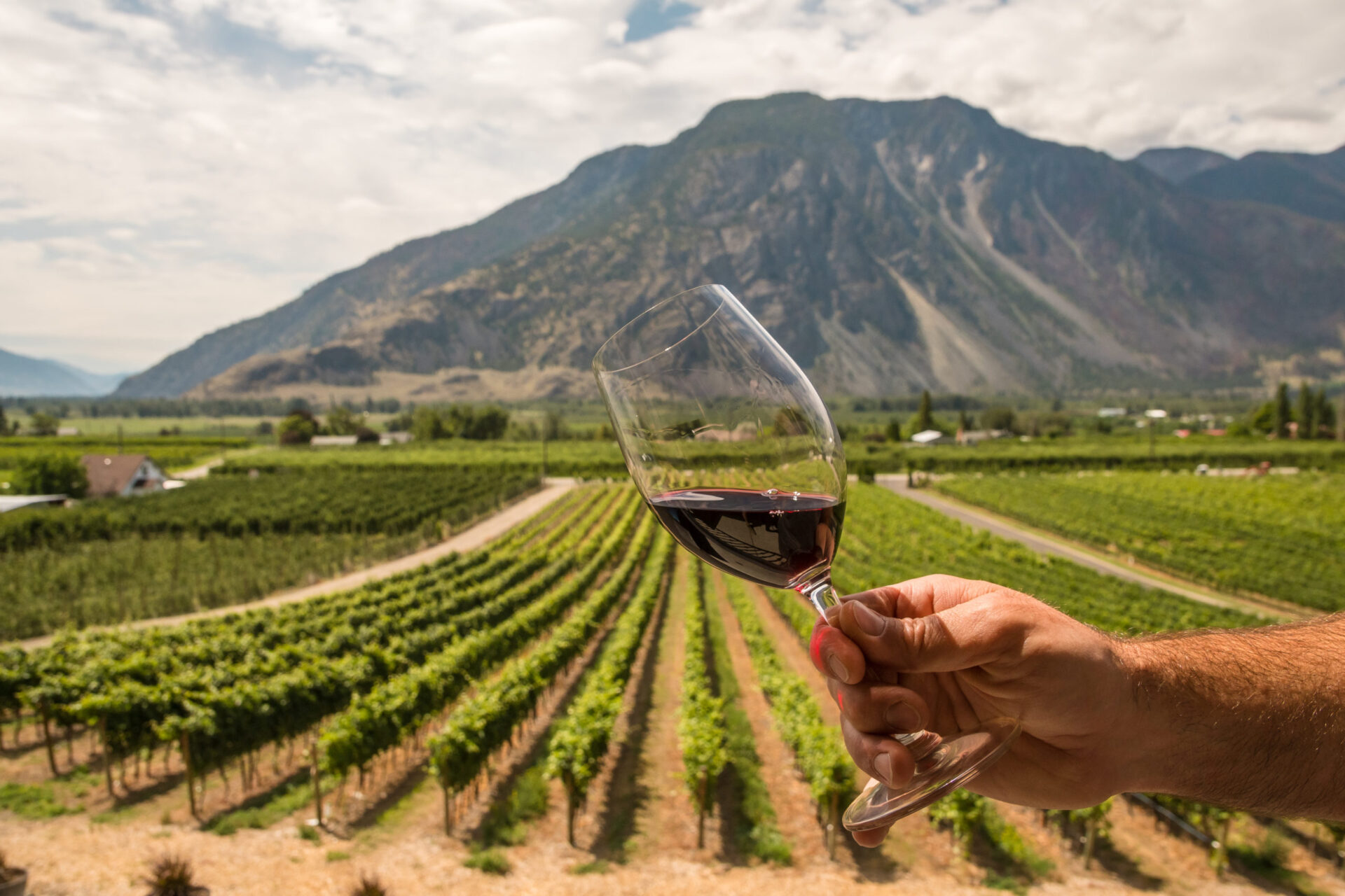 Wine Tour Hub – Welcome to BC Wine Country