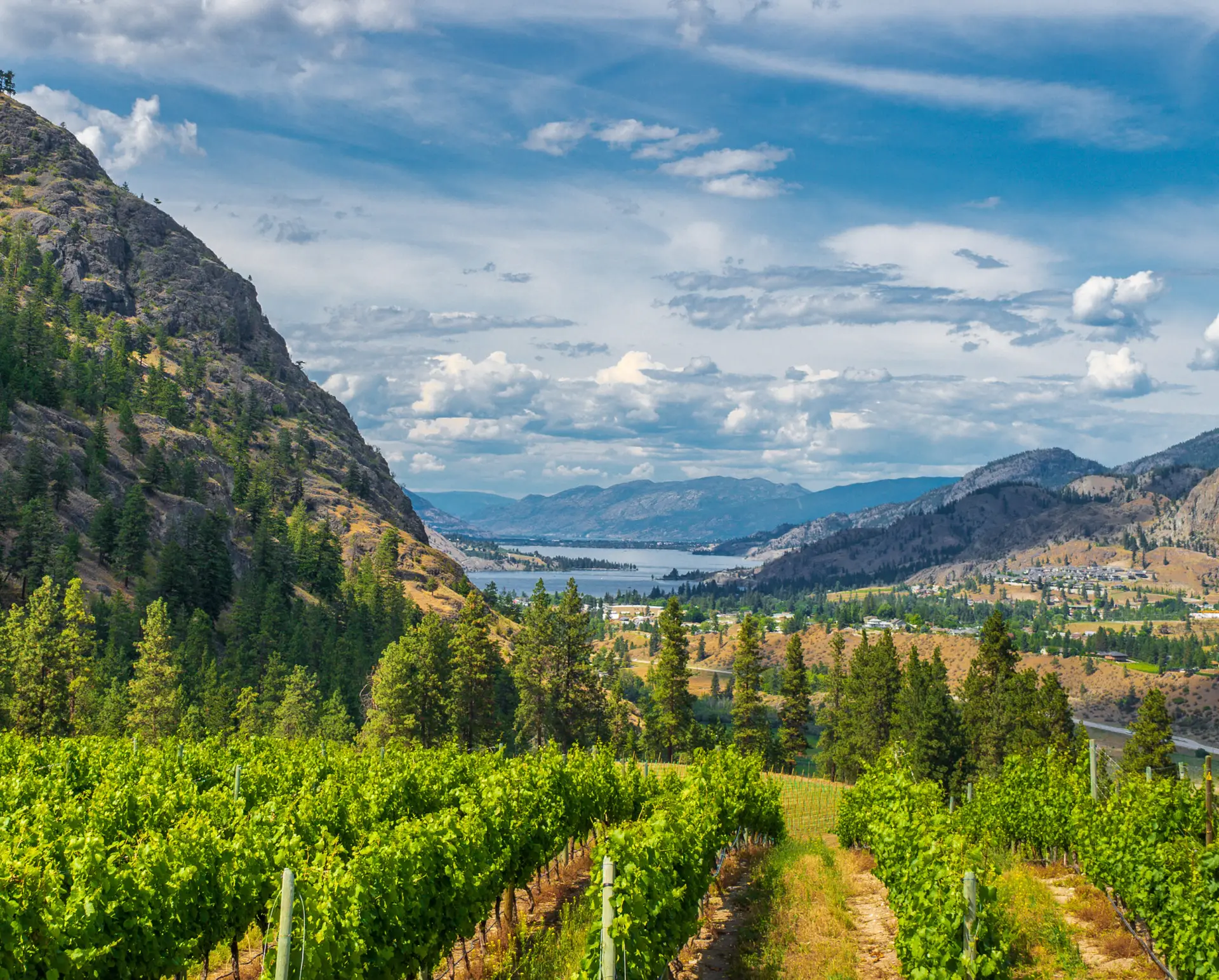 The Okanagan Valley Wine Region - Wine Tour Hub